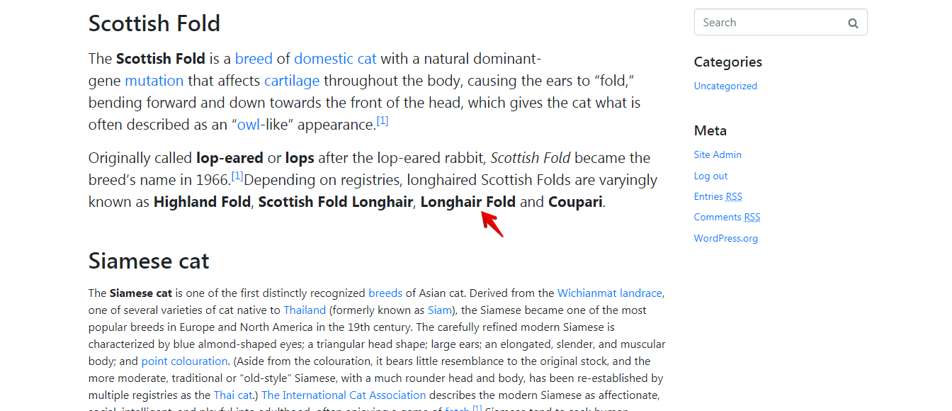 Different Ways to Add Custom Code Snippets in WordPress - Artbees