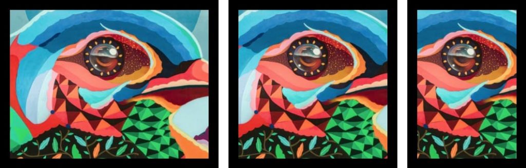 Two Techniques to Crop Images in CSS - Artbees